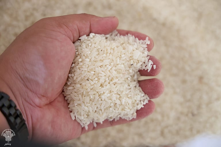 Palace extends rice import tariff until year-end, forms inter-agency ...