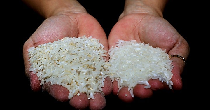 Palace extends 15% rice import tariff