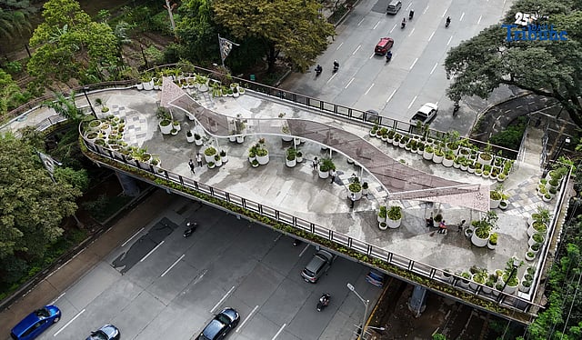 QC Circle Promenade Landscape