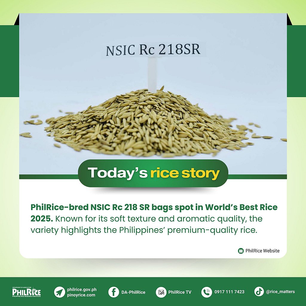 Philippine Dinorado wins second place at World's Best Rice 2025 Awards