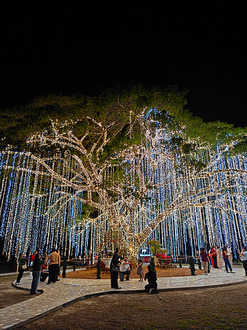 Magical moments take root in Villar City