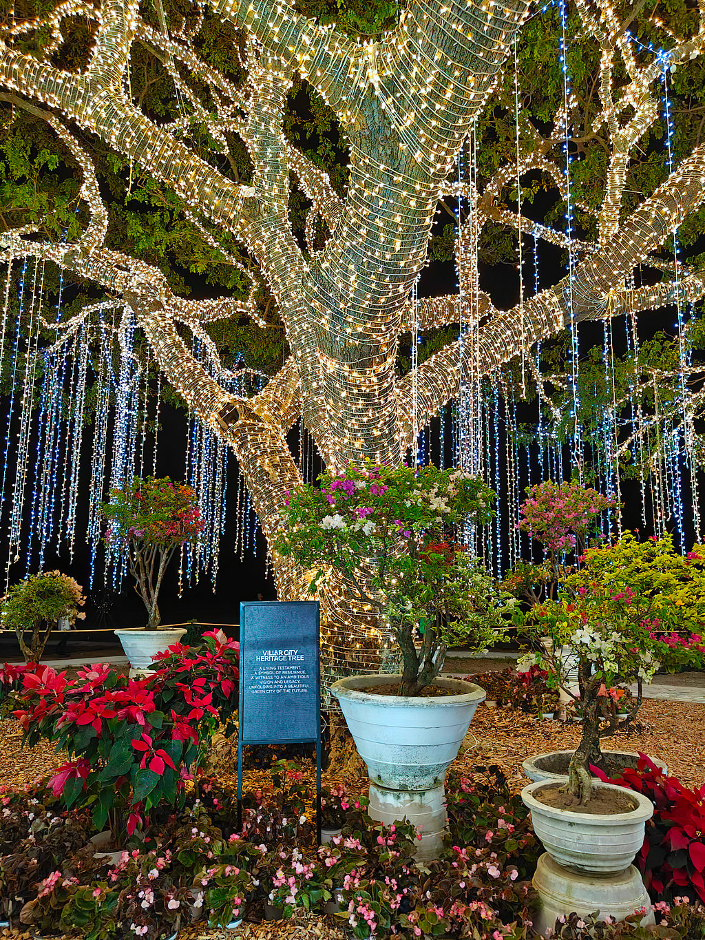 Magical moments take root in Villar City