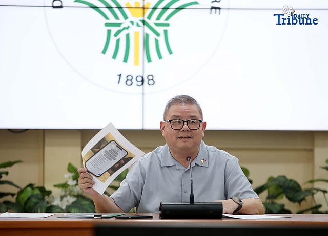 Tiu Laurel faces the press after Co allegations