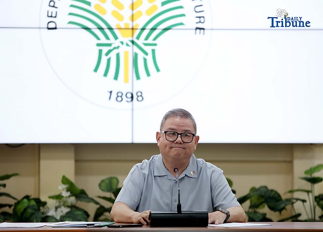 Tiu Laurel faces the press after Co allegations