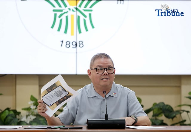 Tiu Laurel faces the press after Co allegations