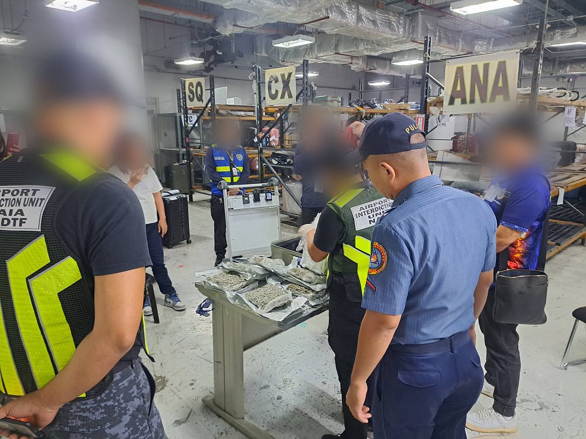 P14.9M worth of marijuana kush seized at NAIA T3