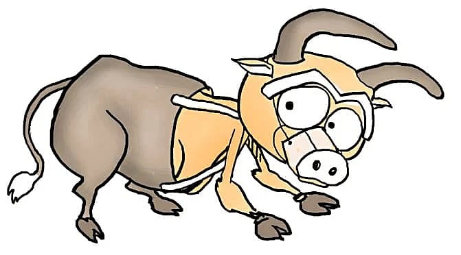 Daily feng shui Horoscope by Master Hanz Cua