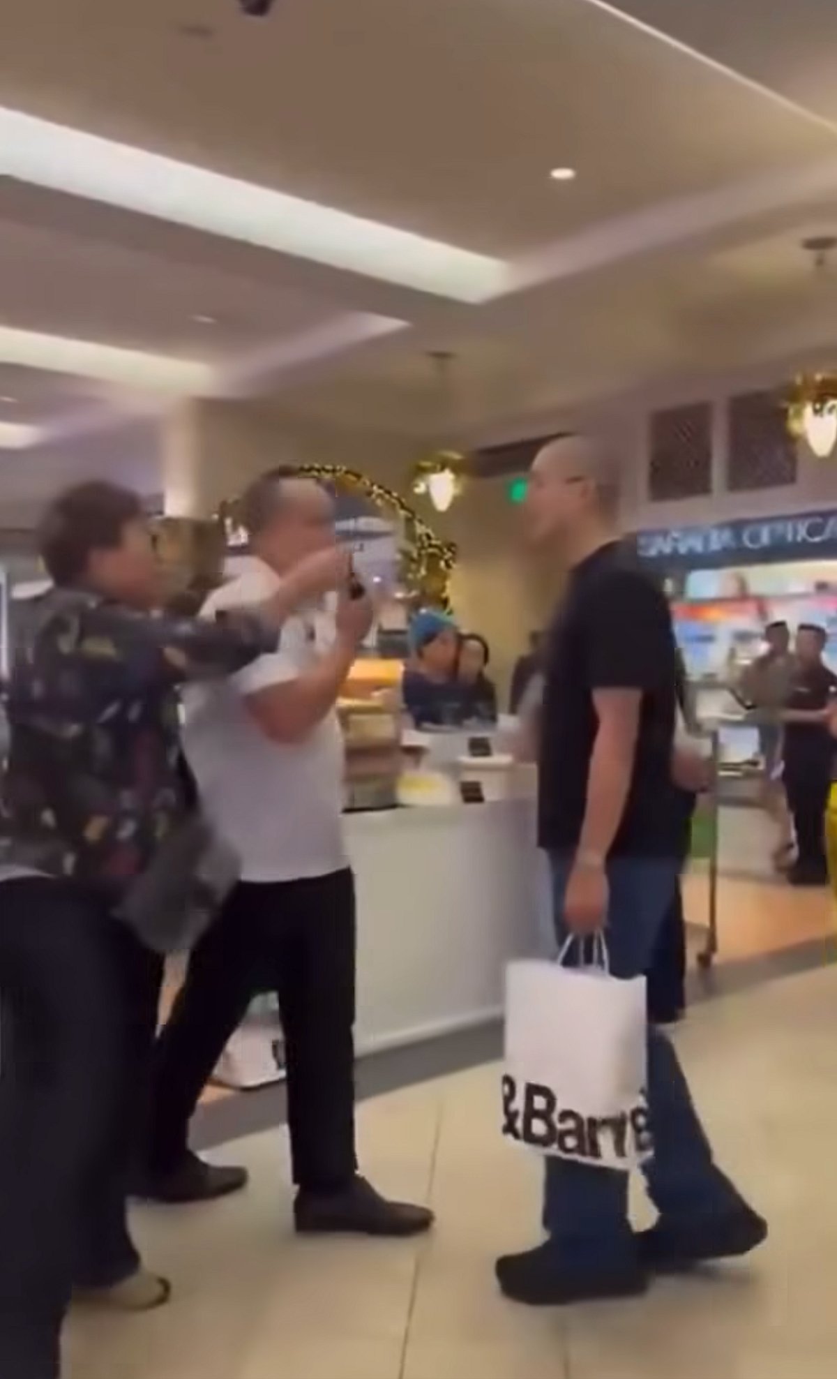 Guanzon clarifies mall ‘altercation’