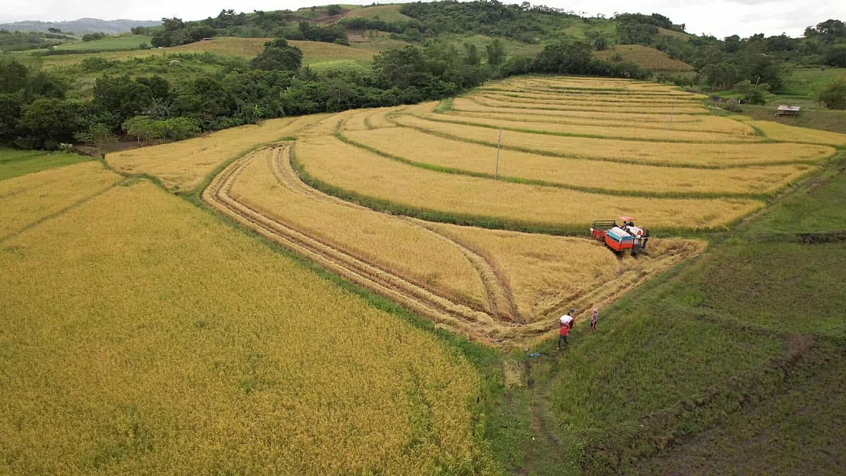 Bicol lawmaker defends increased DA farm-to-market road budget