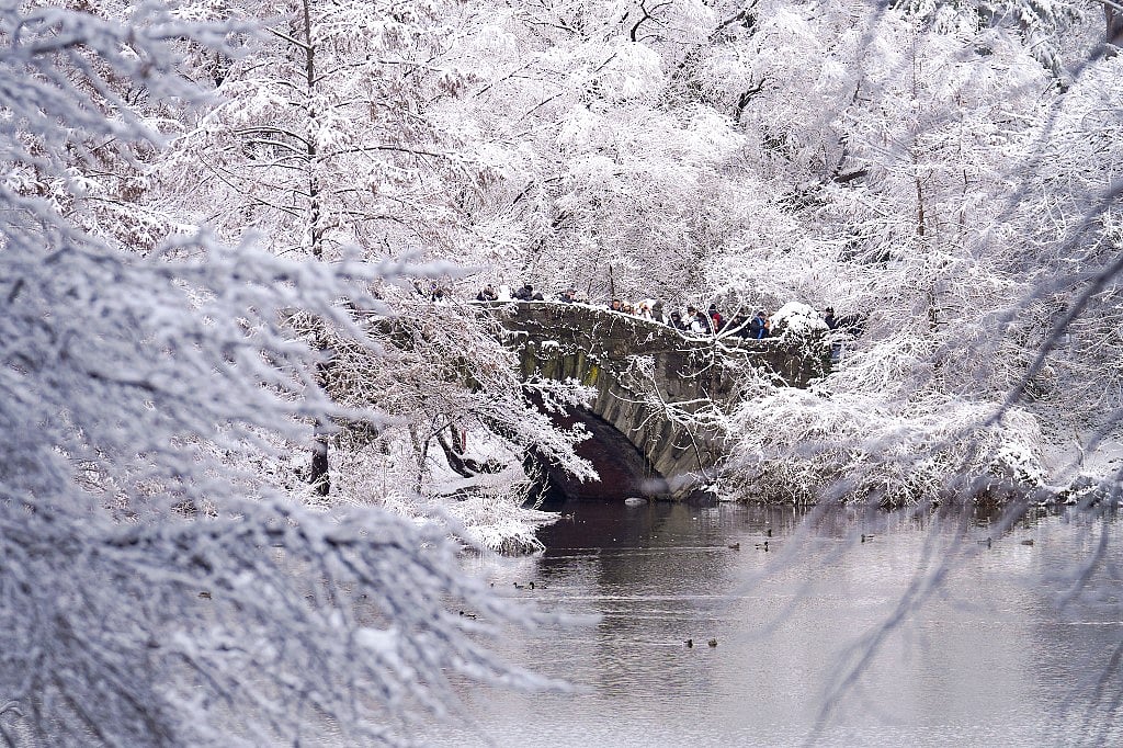 New York parents lead US in Christmas spending, survey finds