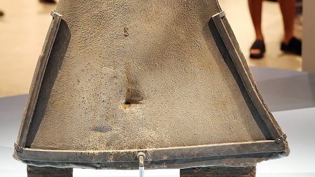 Illegal shark fin trade threatens protected species, study warns