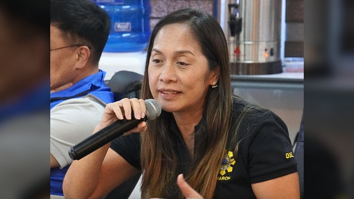 Energy Secretary Garin denies Cabral files linked to Leviste’s Solar ...