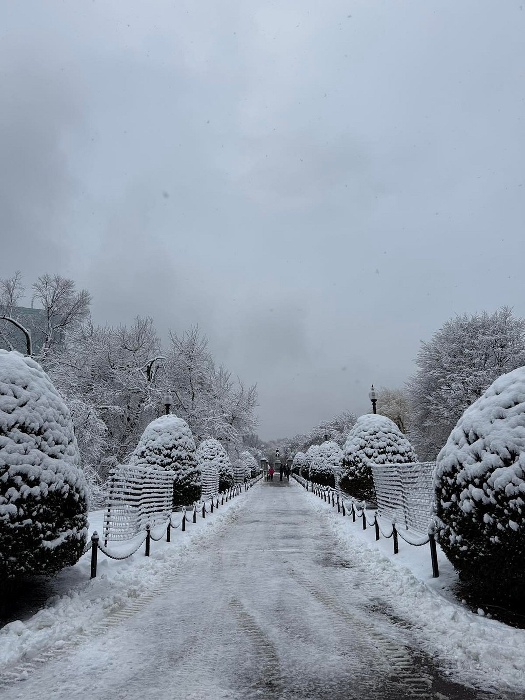 Deep freeze turns Boston into winter postcard