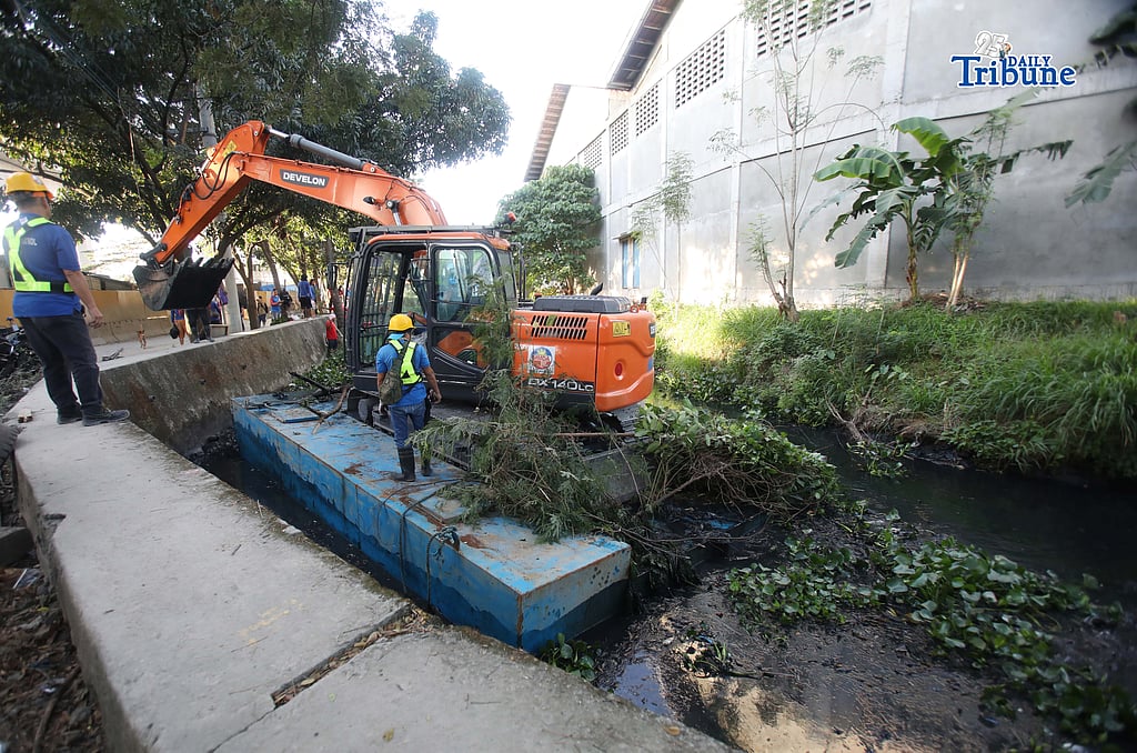 MMDA Clean up drive