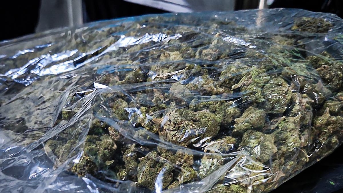 P1.068M marijuana seized in Clark