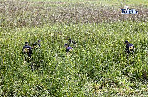 SOCO gun search
