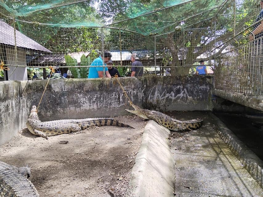 DENR rescues wildlife from private residence in Batangas