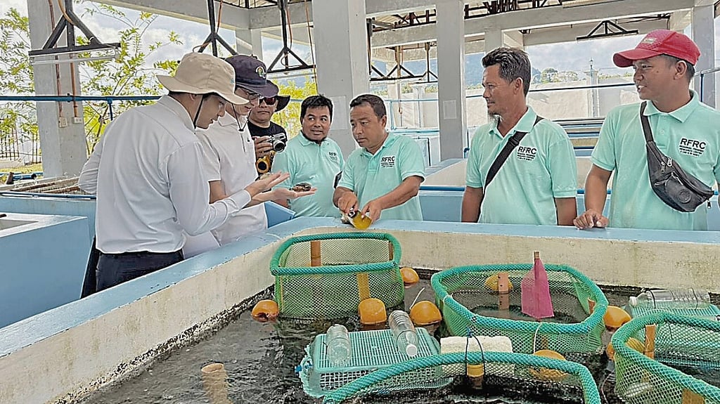 Japan boosts sustainable BARMM fisheries
