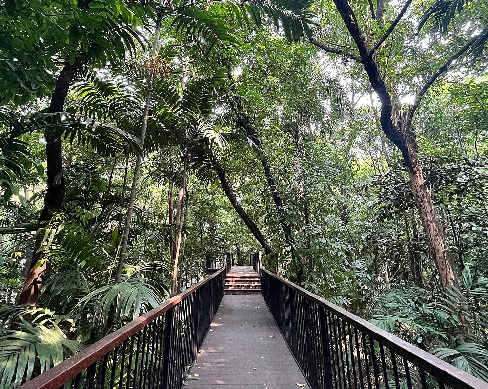 DENR update on forest leasing set to expand job opportunities