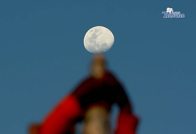 Half moon