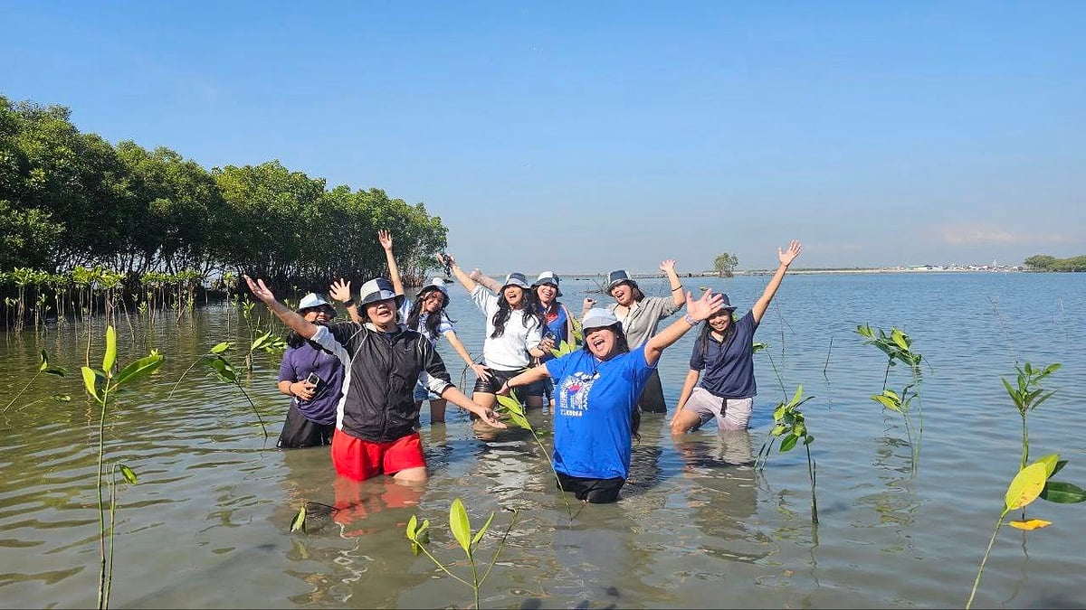 Proxy planting: Pals grow beauty queen’s ‘forests of change’