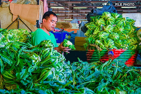 NVAT explains tomato dumping after viral Nueva Vizcaya video