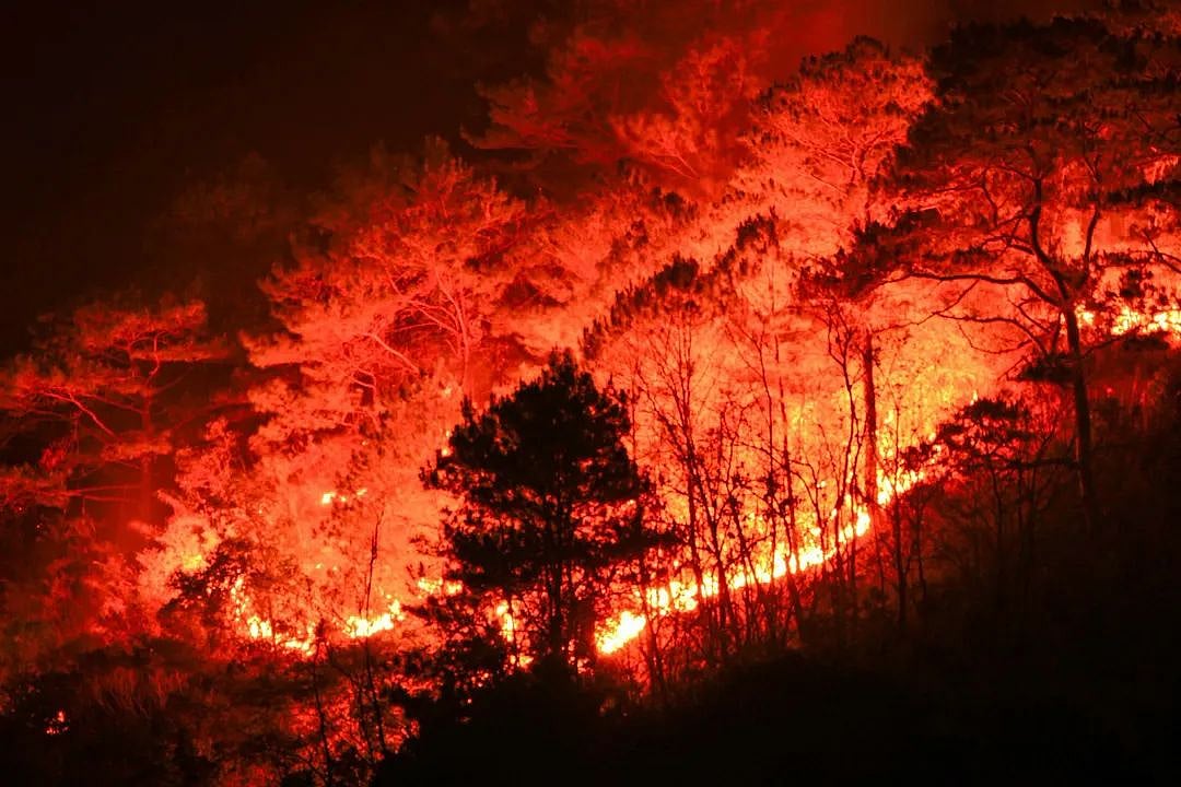 Mountain Province Fires in Q1 2026 Linked to Bonfires, Rubbish Burning ...