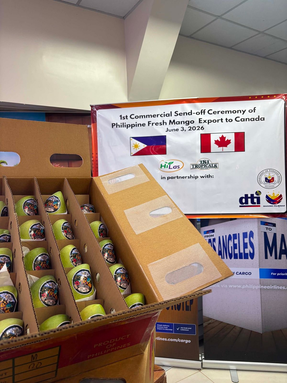Philippine Carabao Mangoes Make First Commercial Entry Into Canadian ...