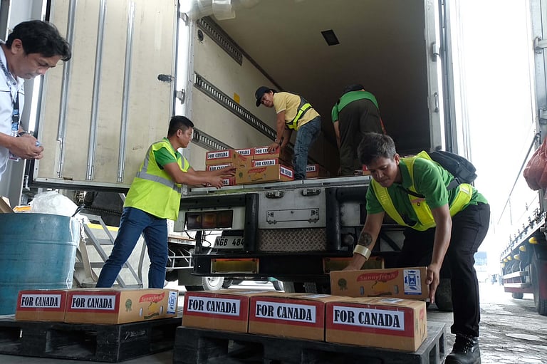 Philippine Carabao Mangoes Make First Commercial Entry Into Canadian ...