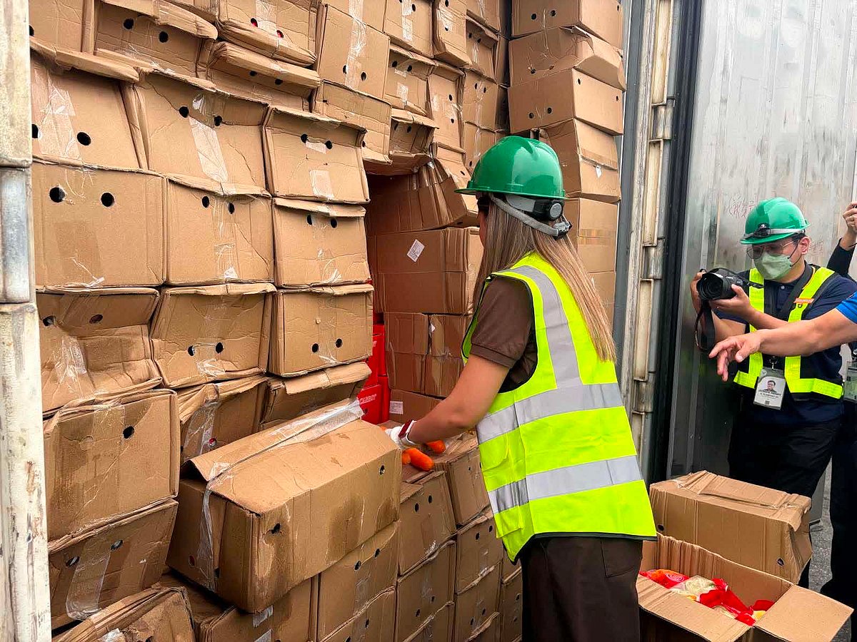 DA, BOC seize P7 million smuggled carrots