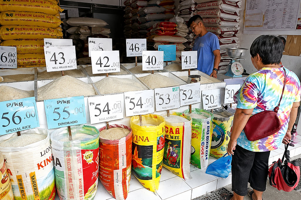 Philippines Mulls Extension of P50 Rice Price Cap as June 30 Deadline Nears