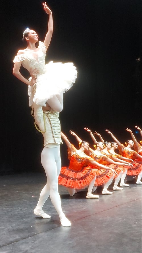 Ballet vs Timothée Chalamet: Lisa Macuja Elizalde speaks up anew