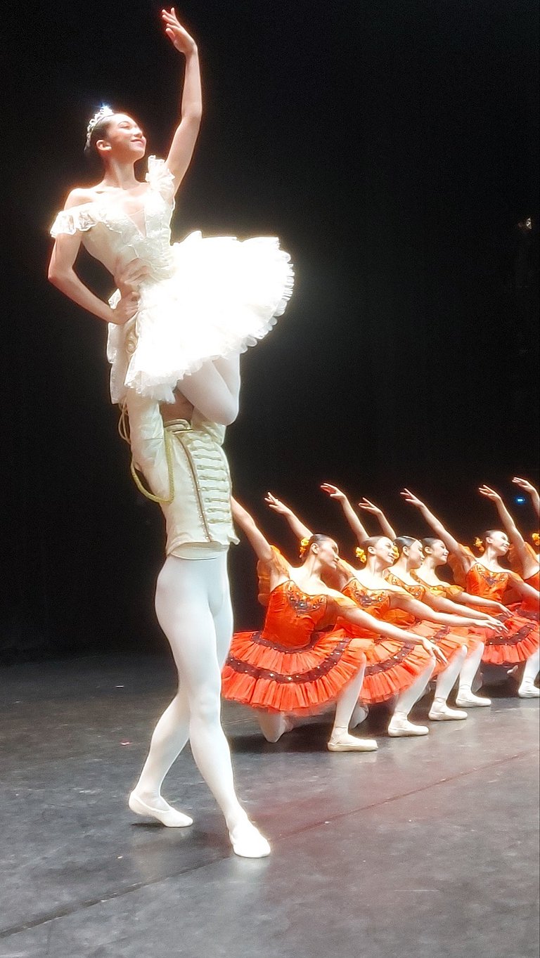 Ballet vs Timothée Chalamet: Lisa Macuja Elizalde speaks up anew