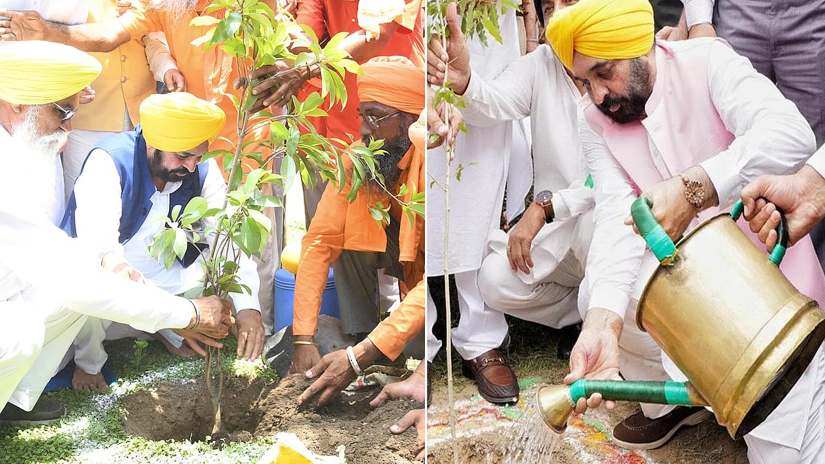 Mann Govt’s Greening Punjab Mission: 12.57 lakh trees planted
