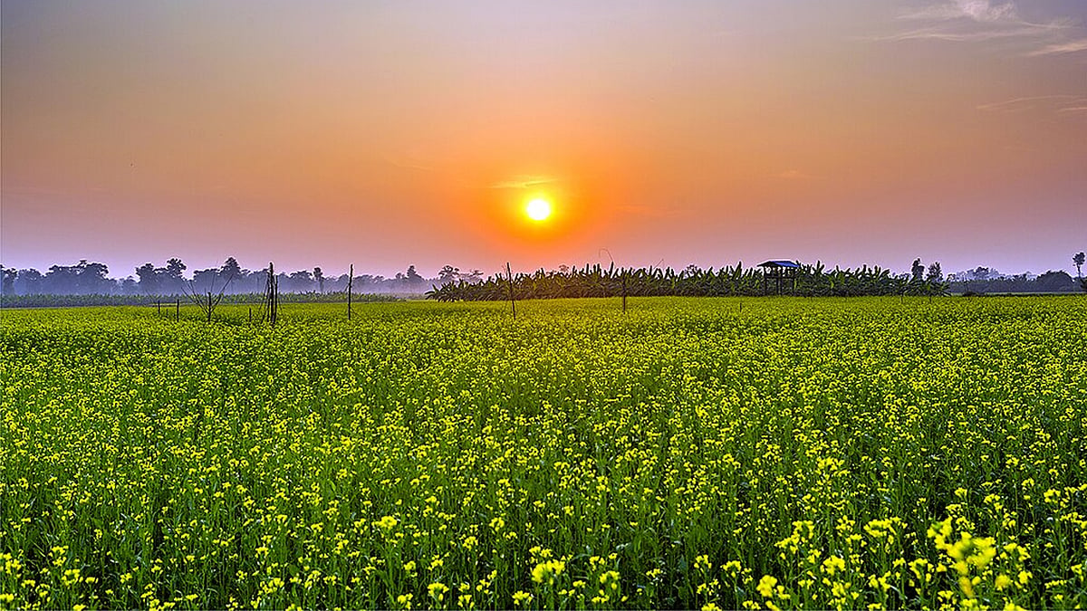 Will it rain again in Punjab? Check out the forecast