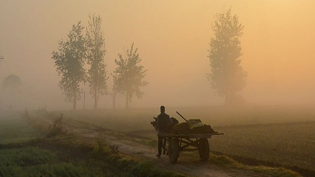 When will winter arrive and temperature start to go down in Punjab?