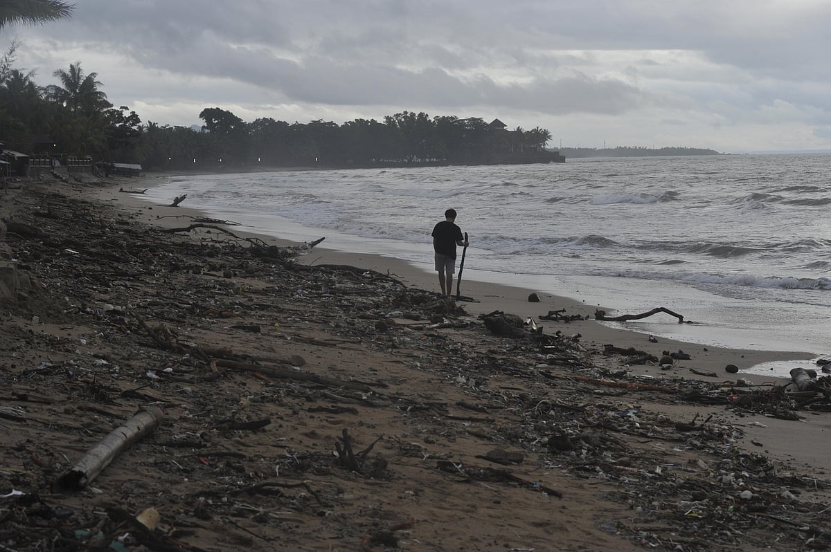 No damage to California coast by tsunami after Tonga volcanic eruption