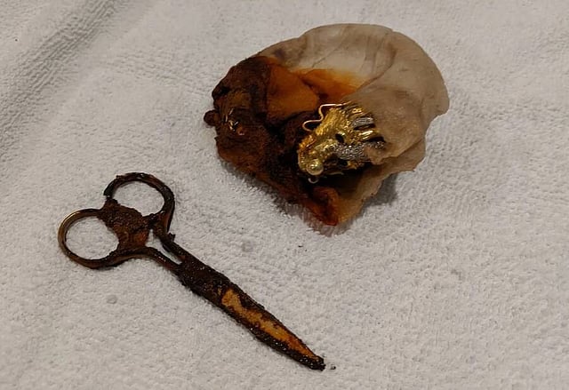 Gold & Greed True Story: Who found Forrest Fenn's Treasure & where in ...