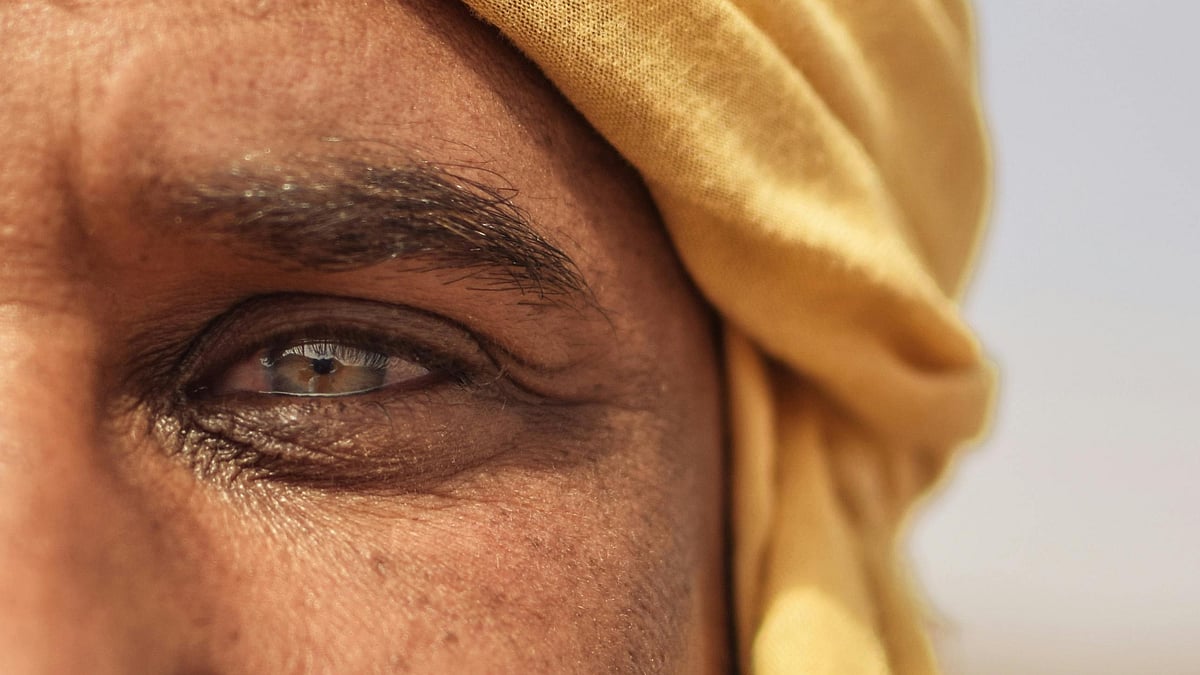 Delhi Court Condemns Transport Body for Employing Color-Blind Bus ...