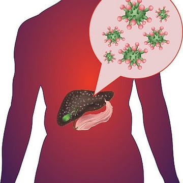 Keezhanelli Herb: Liver Protector - All the Benefits Explained