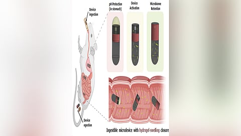 Healthcare News: Updates Across Healthtech & Policy