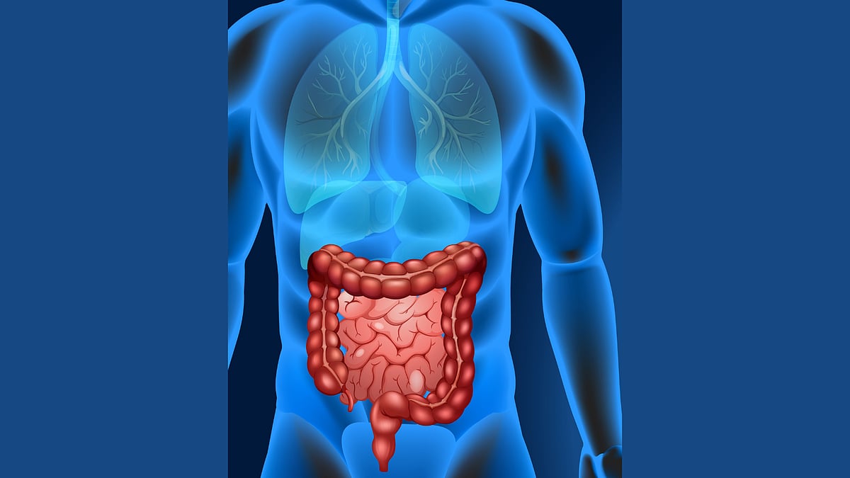 Boehringer Ingelheim & Simcere Launch Global IBD Treatment Initiative