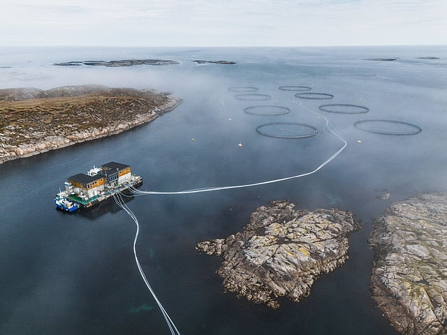 Challenging start of the year for SalMar