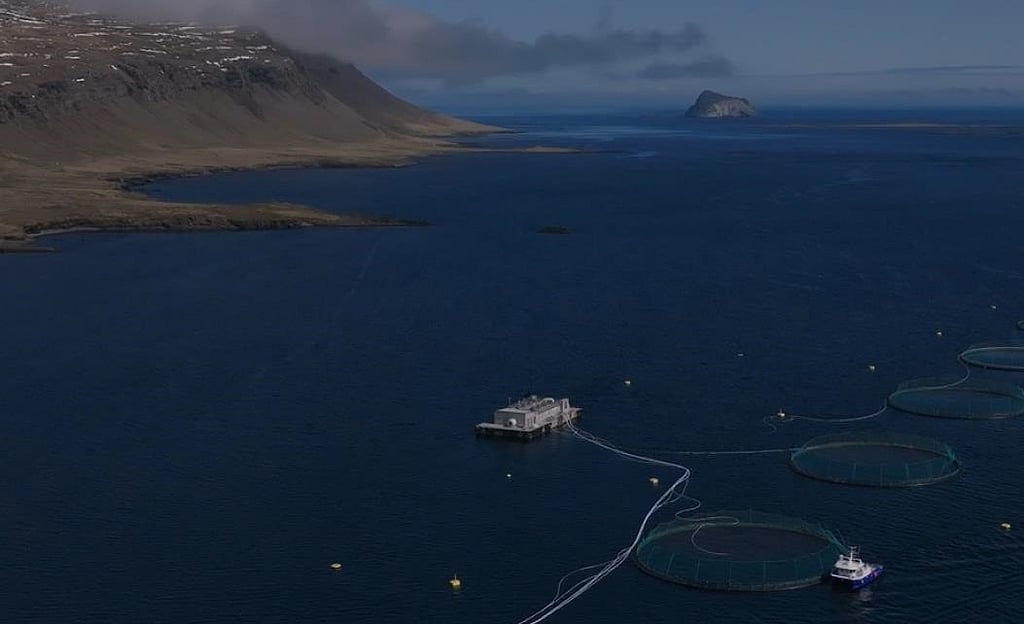 Kaldvík cuts harvest forecast for 2025 by 14%