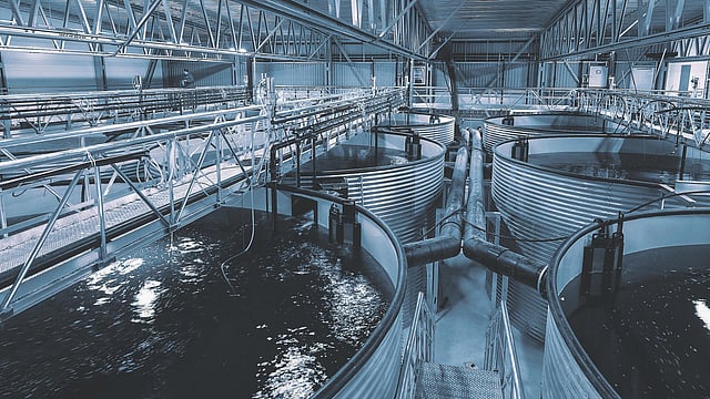 AKVA and Cermaq Chile agree to build a new RAS facility - WeAreAquaculture