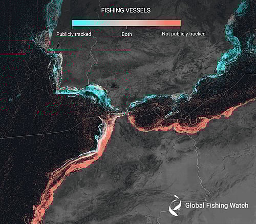 Bottom fishing persists in VMEs despite EU closures