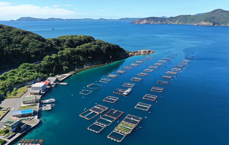 Japan's railway operator moves into aquaculture - WeAreAquaculture