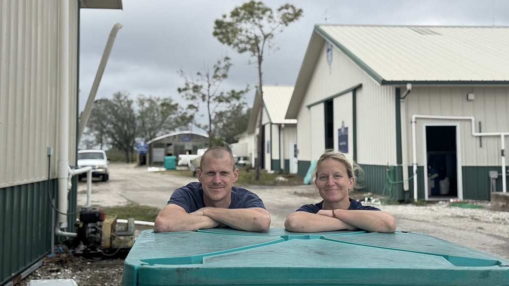 Debut harvest for Florida's Pine Island Redfish