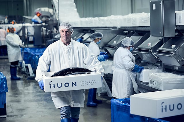 Huon Aquaculture partners with Pure Salmon for new smolt facility in ...
