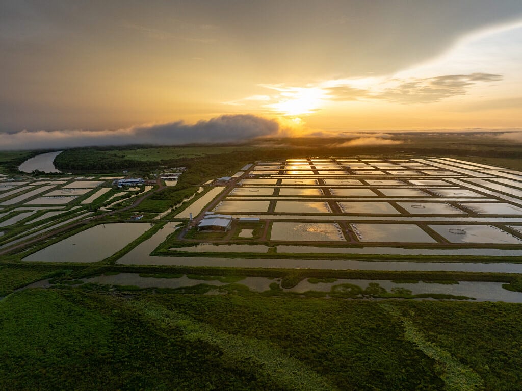 Australia's first barramundi farm earns ASC certification - WeAreAquaculture